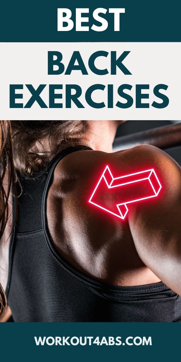 Bigger Back Workout - Workout for Abs Training Videos and Information