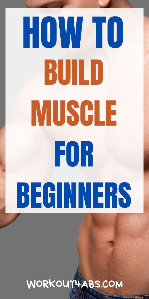 How to Start Building Muscle - Workout for Abs Training Videos and ...